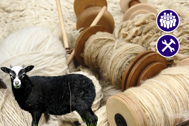 Sheep, Shuttles and Sweat: how wool affected our ancestors' lives with ...